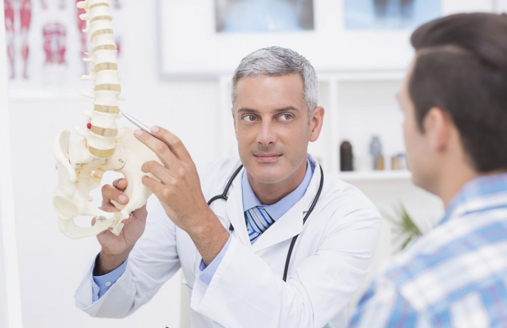 spinal-cord-osteo-circuit
